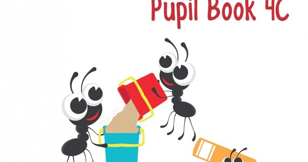 BUSY ANT MATHS 2ND EDITION - PUPIL BOOK 4C | IGCSE Cambridge Syllabus ...