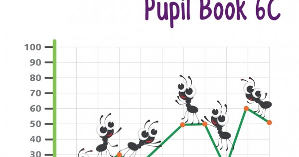 BUSY ANT MATHS 2ND EDITION - PUPIL BOOK 6C | IGCSE Cambridge Syllabus ...